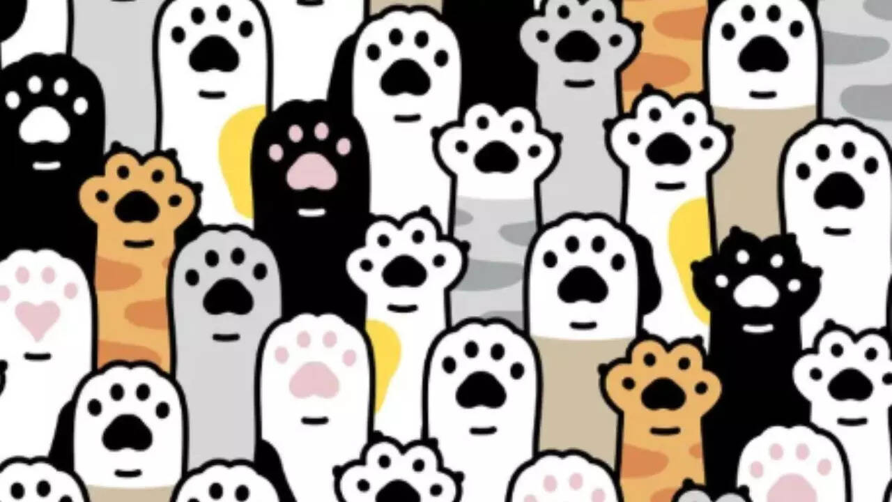 Optical Illusion: Spot the hidden heart among cat paws in under 7 seconds!