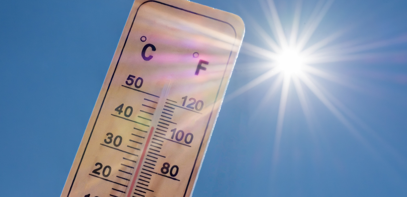 Fini le temps gris, la canicule est de retour : des "pointes à 40 ...