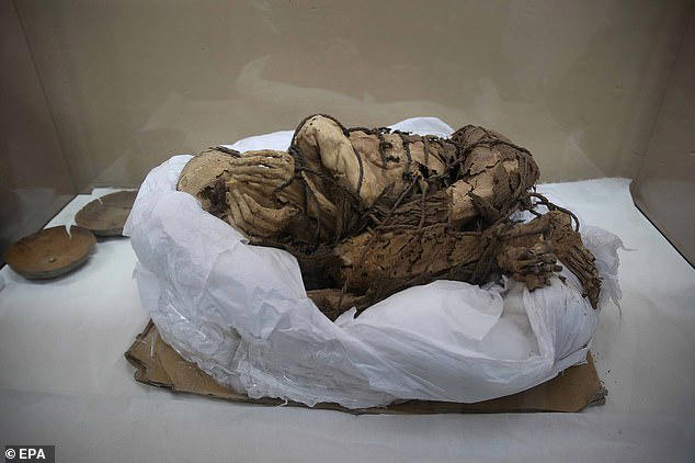 Baffled construction workers discover a 1,000-year-old Peruvian mummy ...