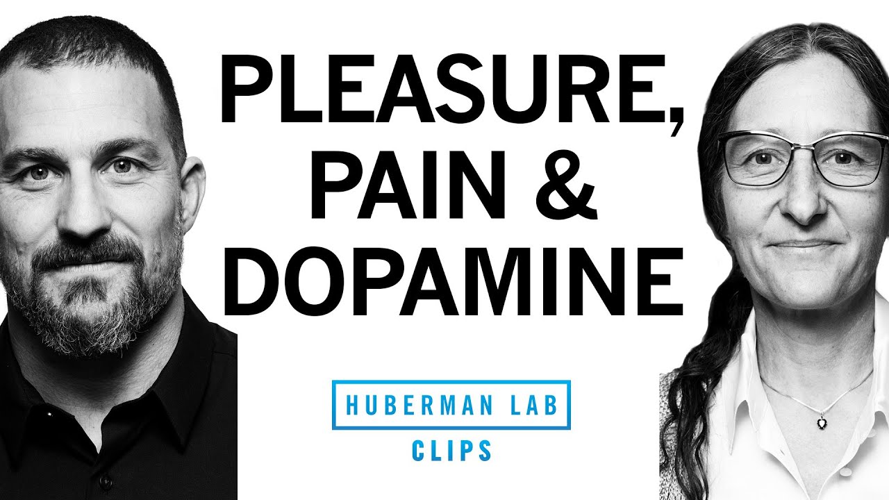 How & Why Pleasure Becomes Addiction ｜Huberman Lab
