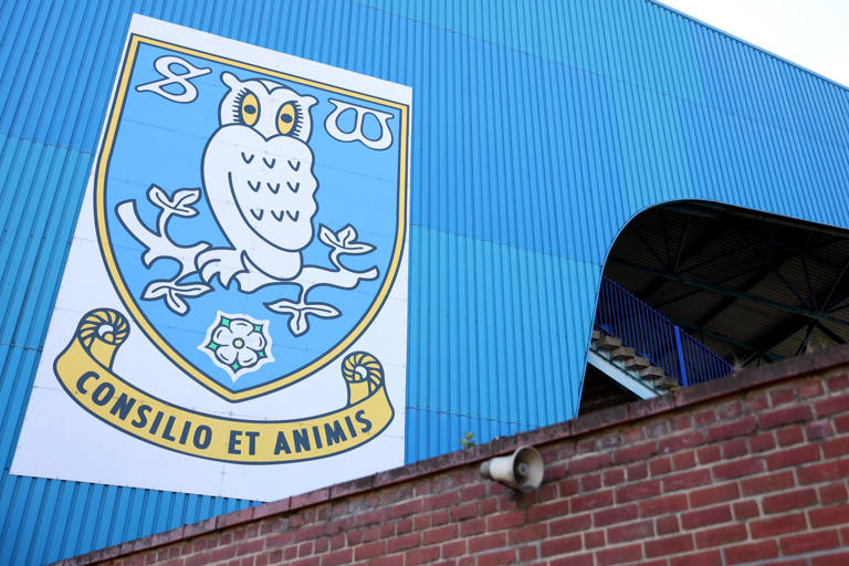 Sheffield Wednesday expected to lose EFL embargoes - but financial ...