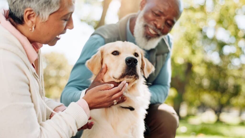 11 hobbies that generate income in retirement