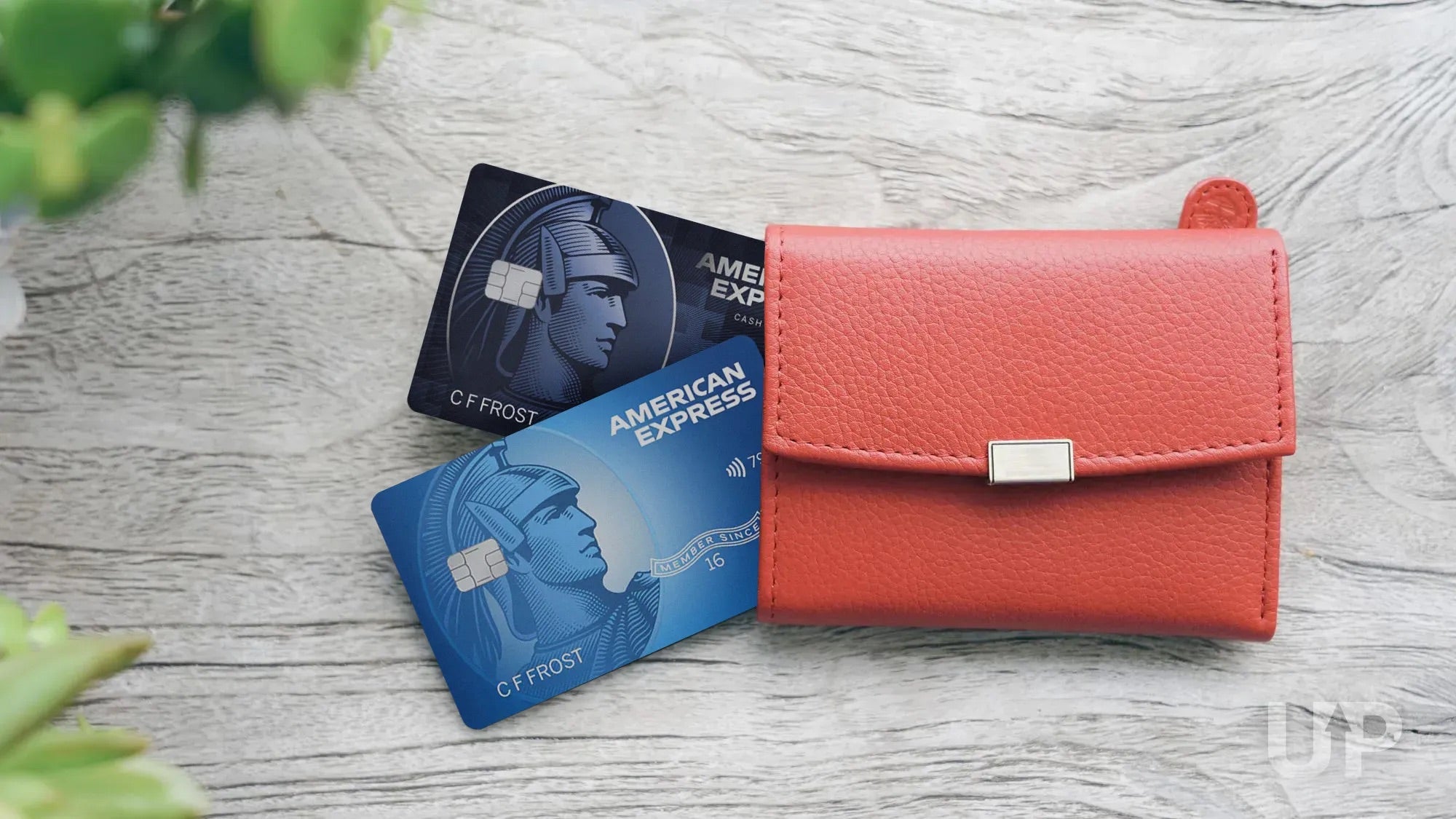 Amex Makes Big Improvements to Disney Credit for Blue Cash Cardholders