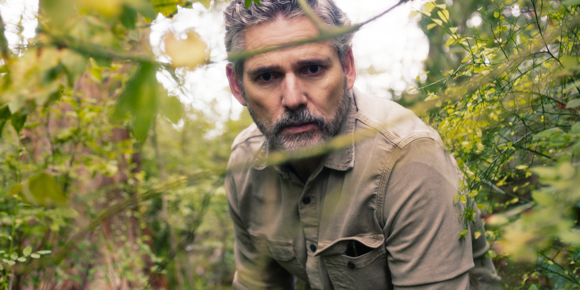 ‘Untamed' Season 2: Everything You Need to Know About Netflix's Hit ...