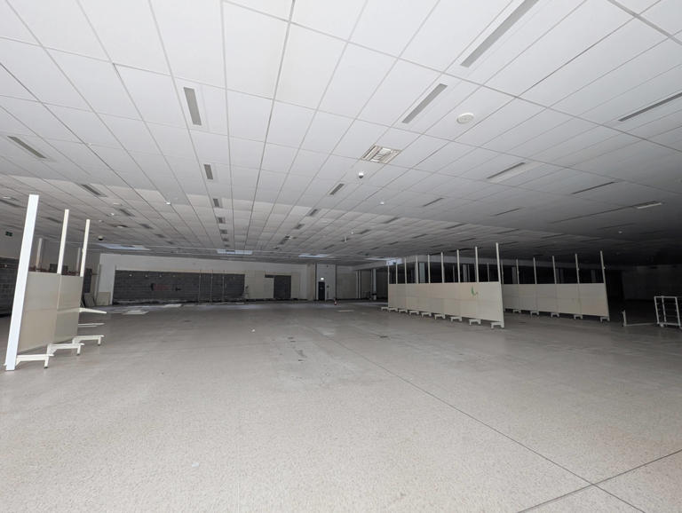 We were transforming South Shields’ former Wilko store into an art ...