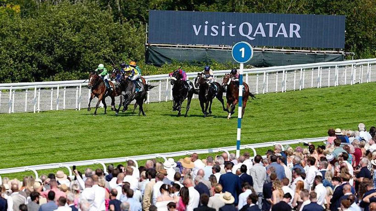 Jm Jungle wins King George Stakes at Goodwood