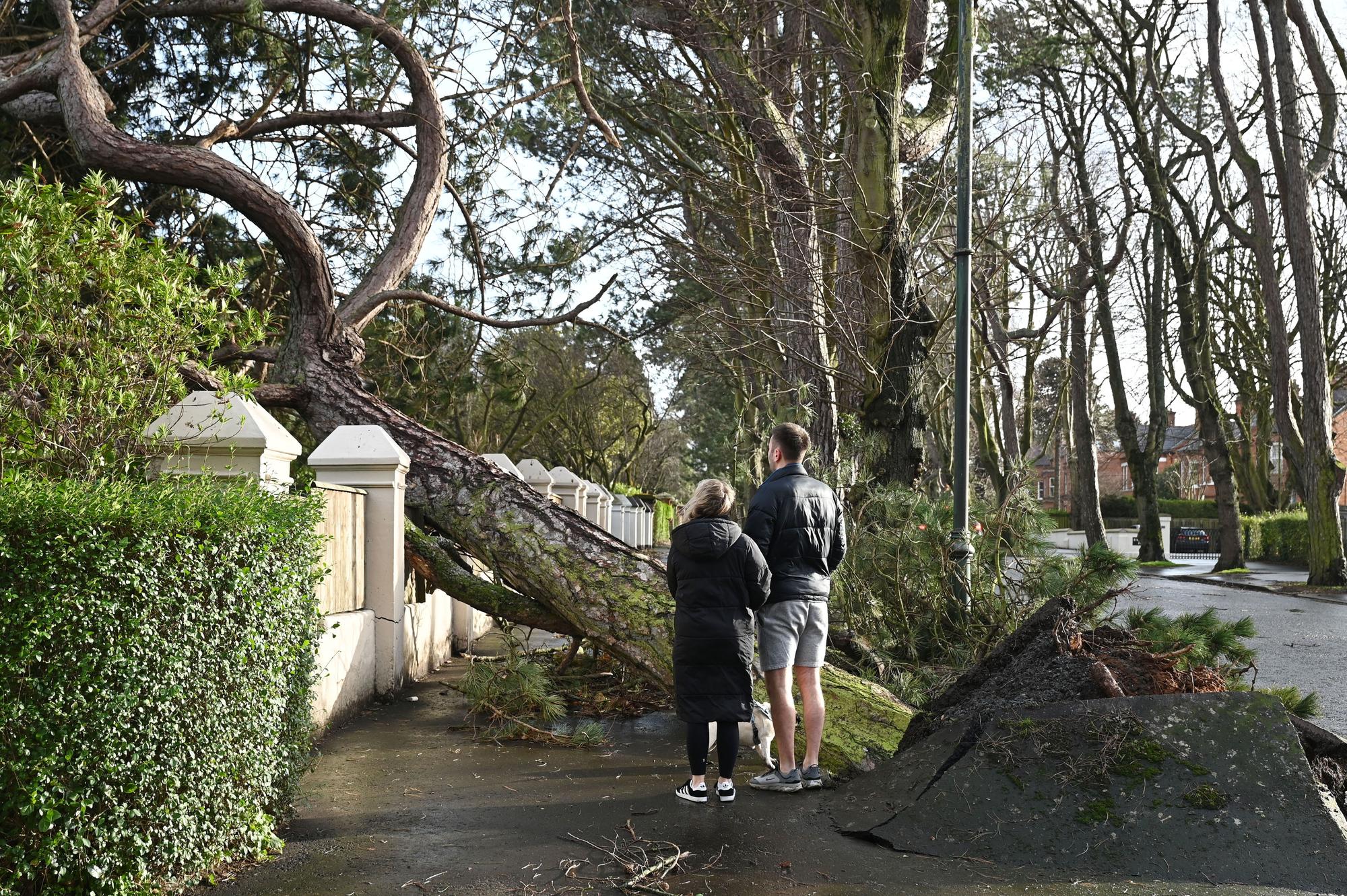 Rush hour, flight and ferry disruption forecast as Storm Floris strikes ...