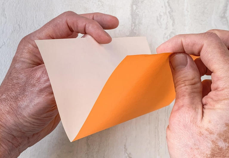 Essential Origami Folds Every Beginner Should Master