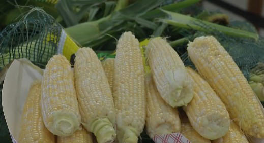Thousands expected at Eden Corn Festival this weekend