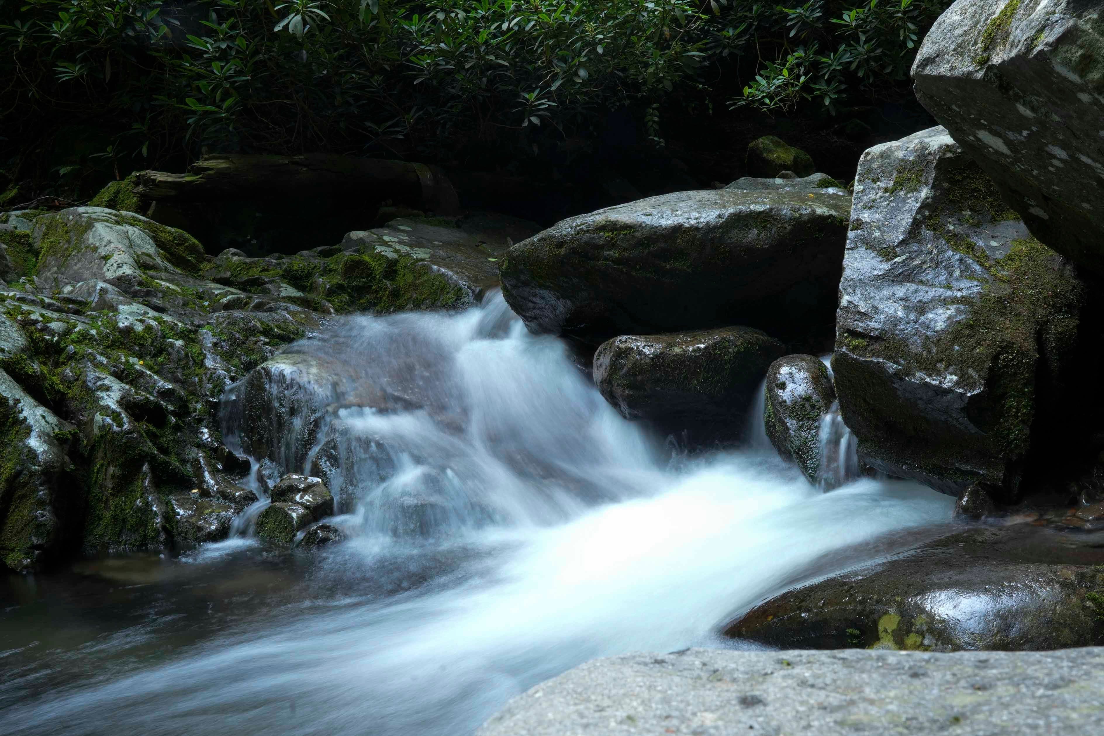 Alabama’s hidden gem named one of America’s best swimming holes by ...