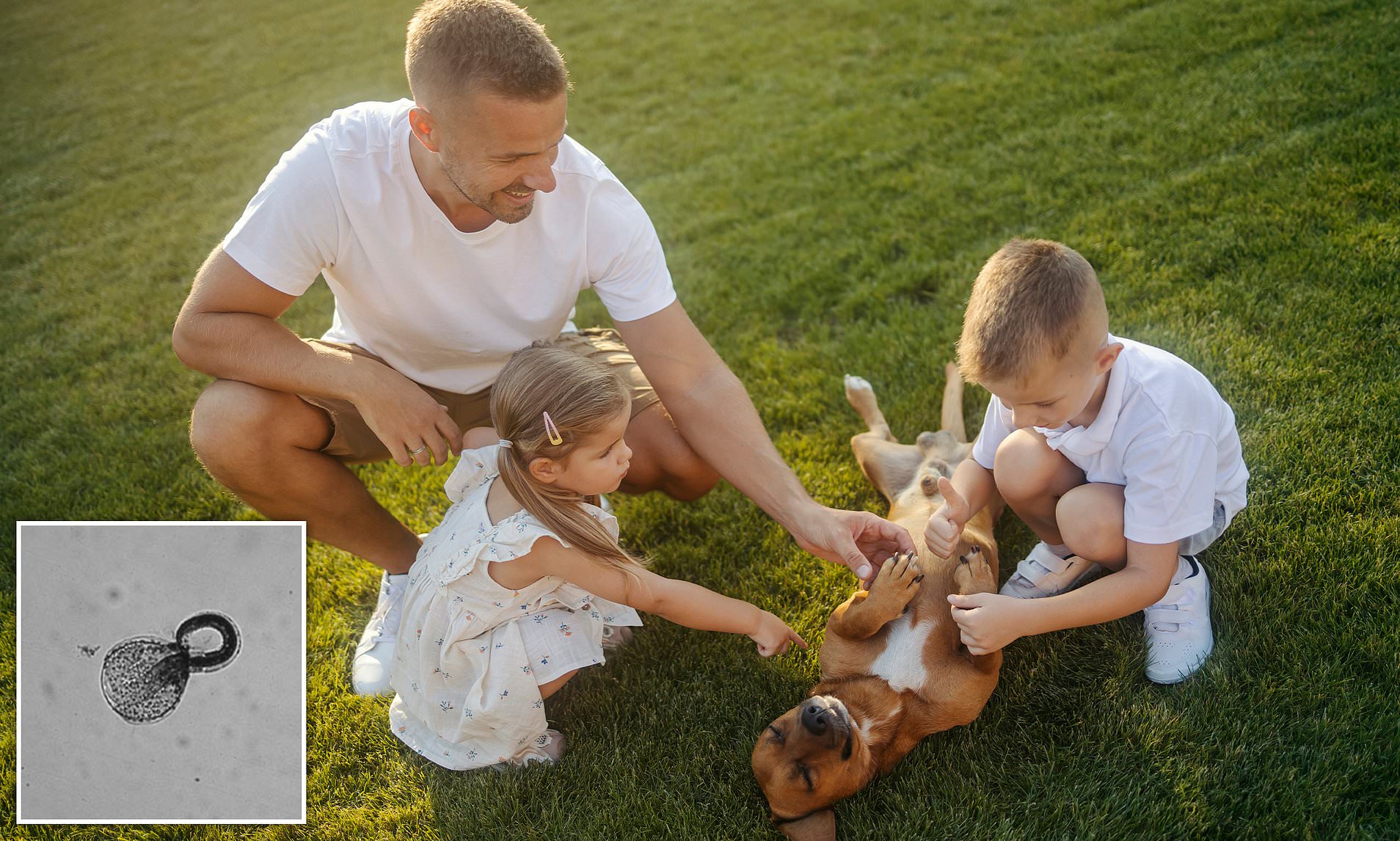 Warnings issued after two people contract brain-eating parasite found ...