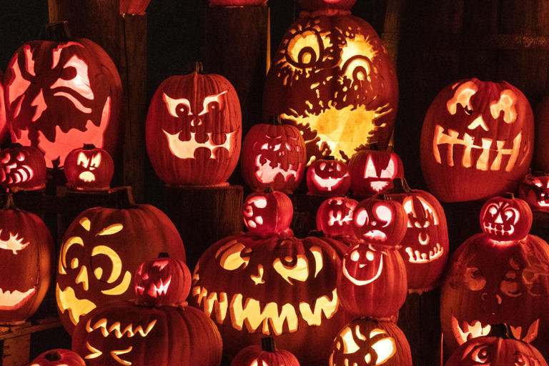 Here's your complete guide to the 2025 Jack O'Lantern Spectacular at ...