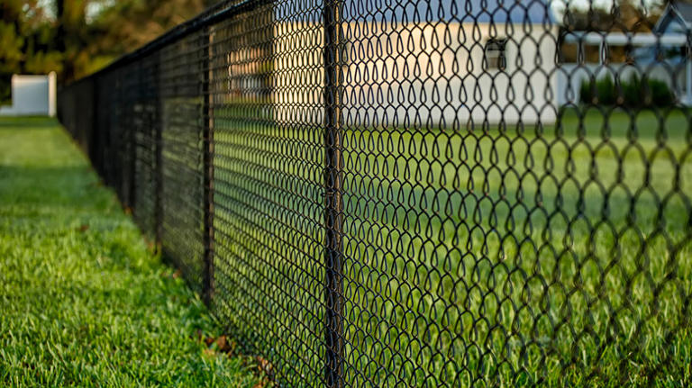 Clever Methods For Adding Extra Privacy To Your Chain-Link Fence