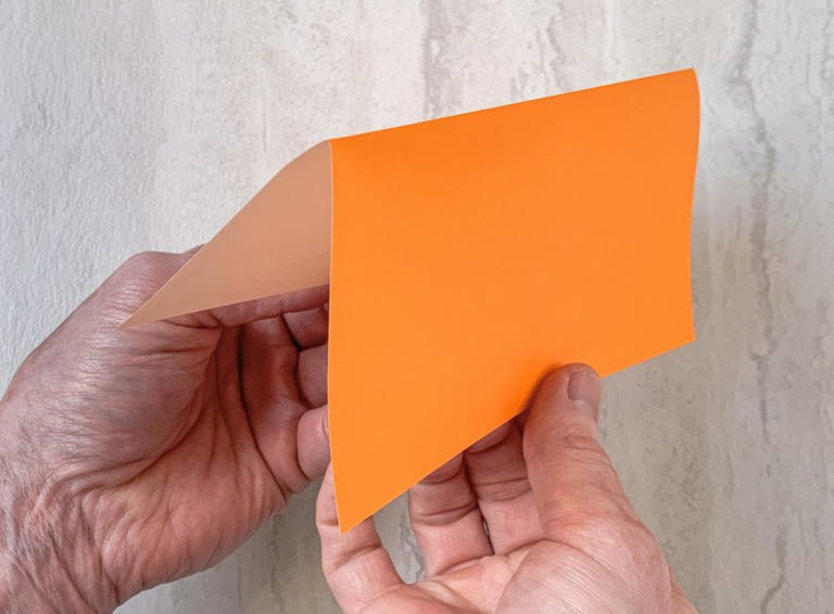 Essential Origami Folds Every Beginner Should Master