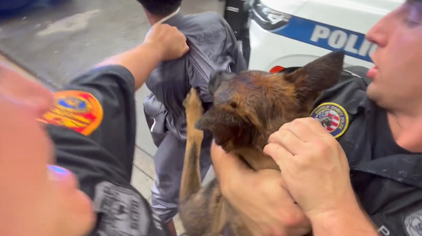 Exclusive: Suffolk police K-9 attacks bystander at funeral for slain NYPD detective