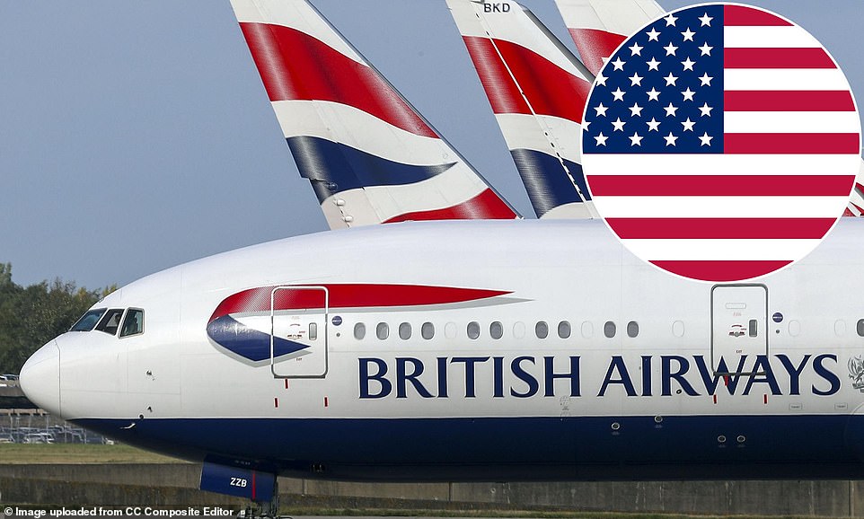 BA owner says US demand remains strong despite economy sales dip