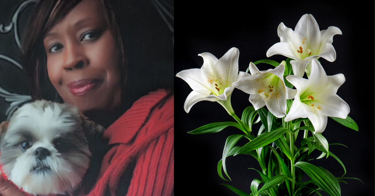 Deborah Frederickson, 63, of Racine – Obituary