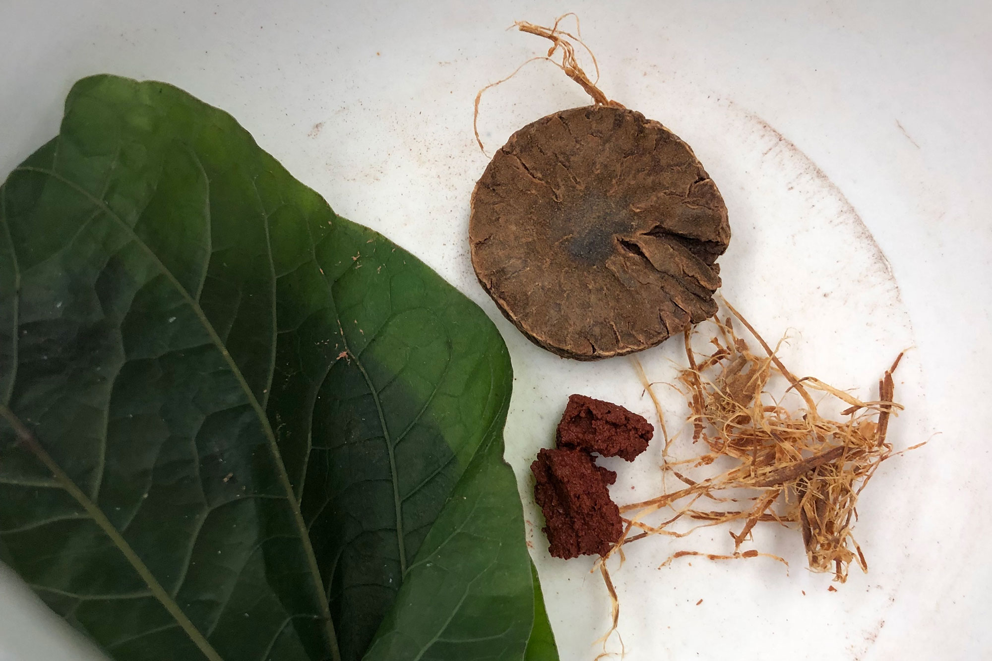 Were Humans in Thailand Getting High Off Betel Nuts 4,000 Years Ago?