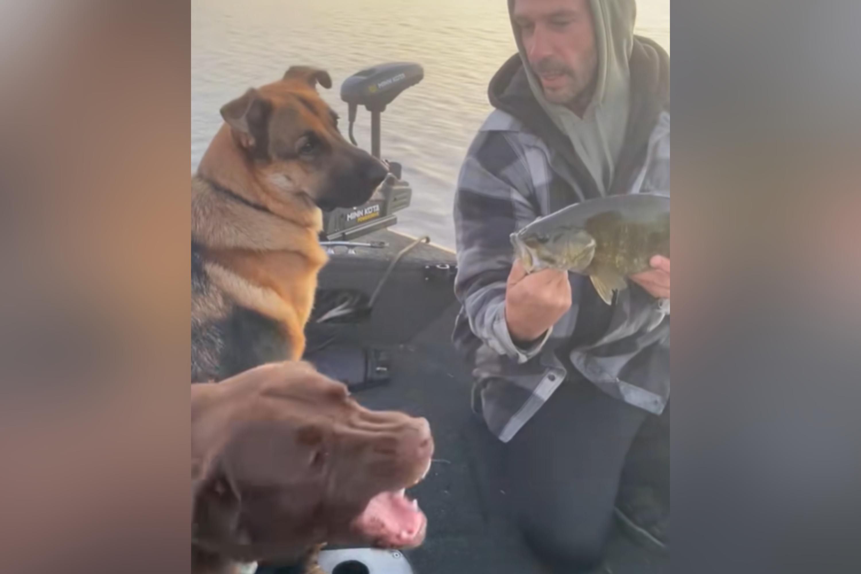 Dog adopted by fishing family has hilarious reaction to meeting first fish