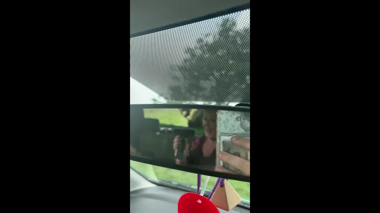 Playful monkeys swarm car at Knowsley Safari in Prescot, England