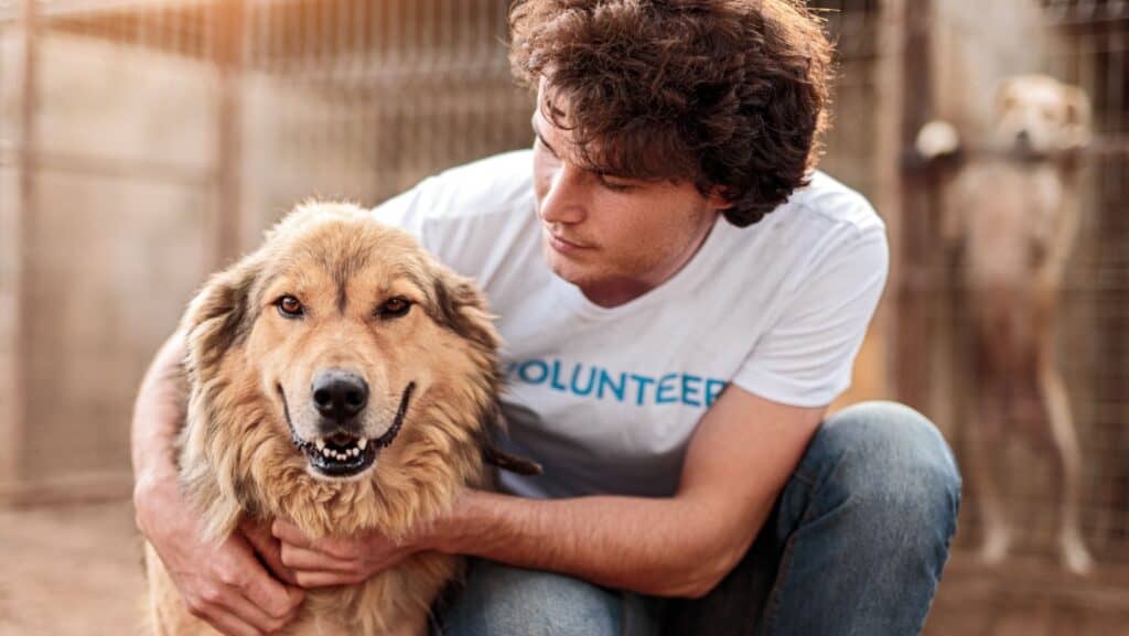How to Adopt a Dog the Right Way: Avoiding Common Pitfalls and Finding ...