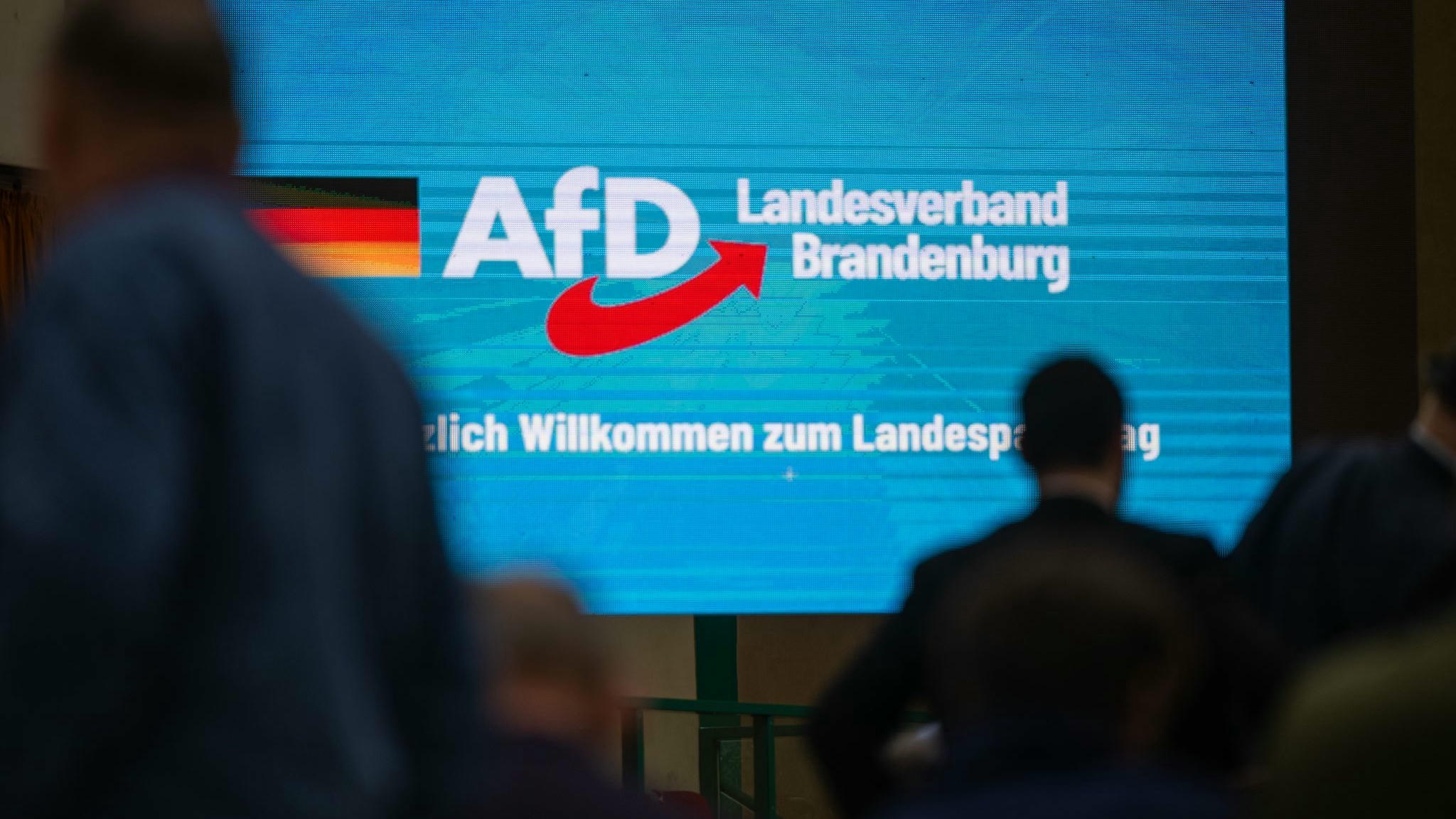 AfD in Brandenburg: Gesichert rechtsextrem – Gründe sollen ...