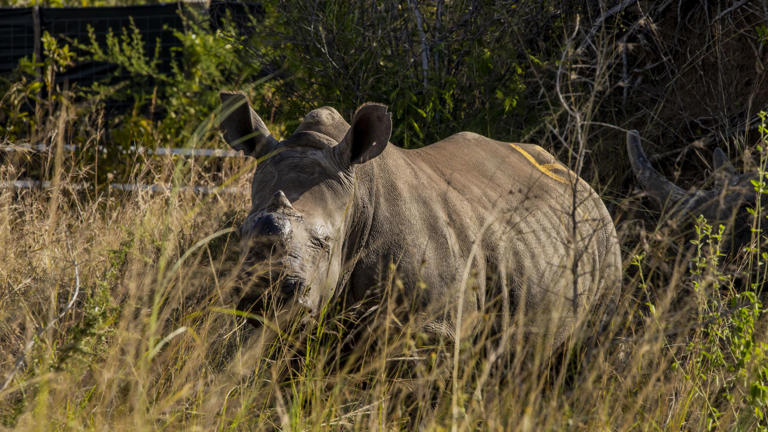 The Daily Mauling: 8/1/25