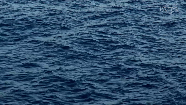 Cause of Death Revealed for Girl, 15, Who Went Swimming in the Ocean ...