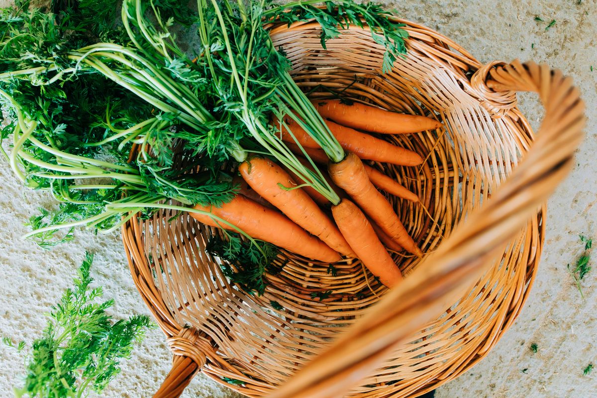 The Best Companion Plants to Make Your Onions Thrive