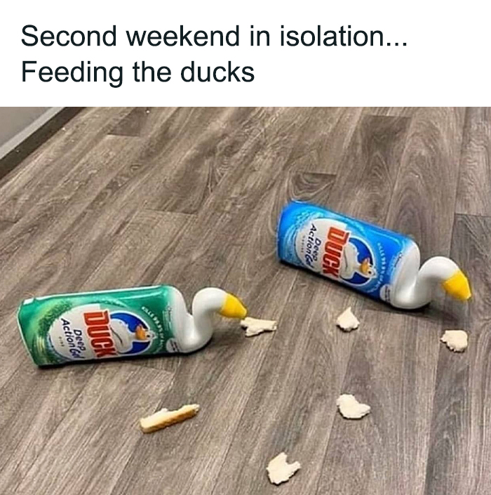 “Britain Relatable”: 30 Funny British Memes To Crack You Up