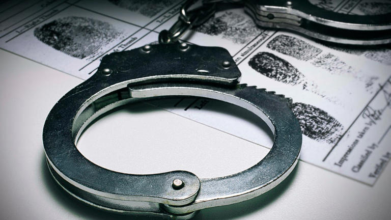 Man charged with sexually assaulting woman in LaBagh Woods on Chicago's ...