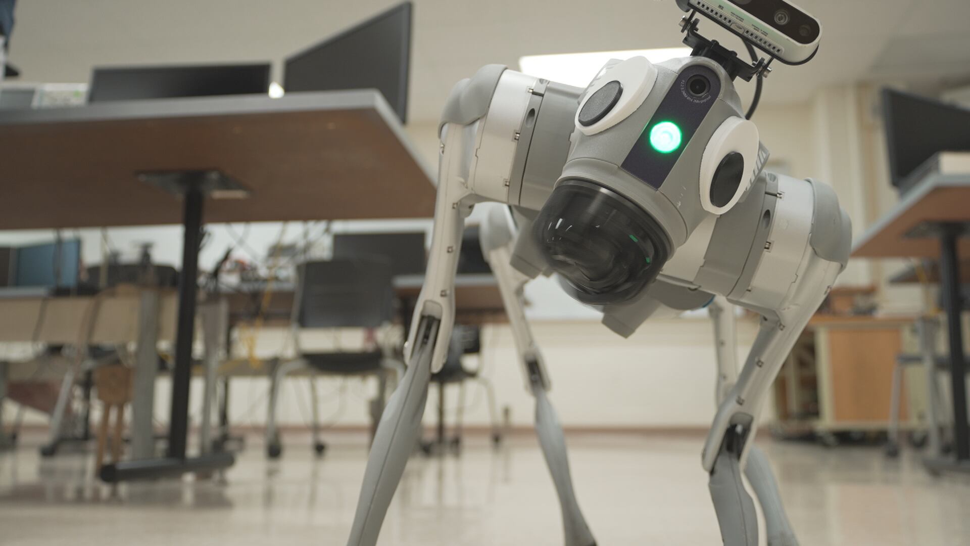 Robot dog at UW-Eau Claire will help students learn this fall