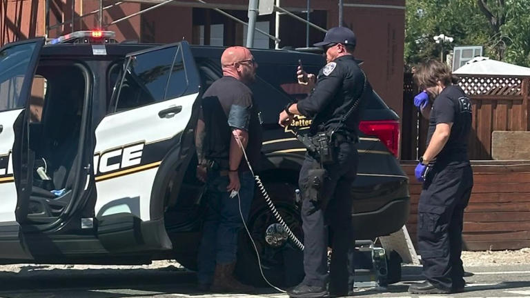 Dog returned to owner in bizarre Pleasanton attempted murder case