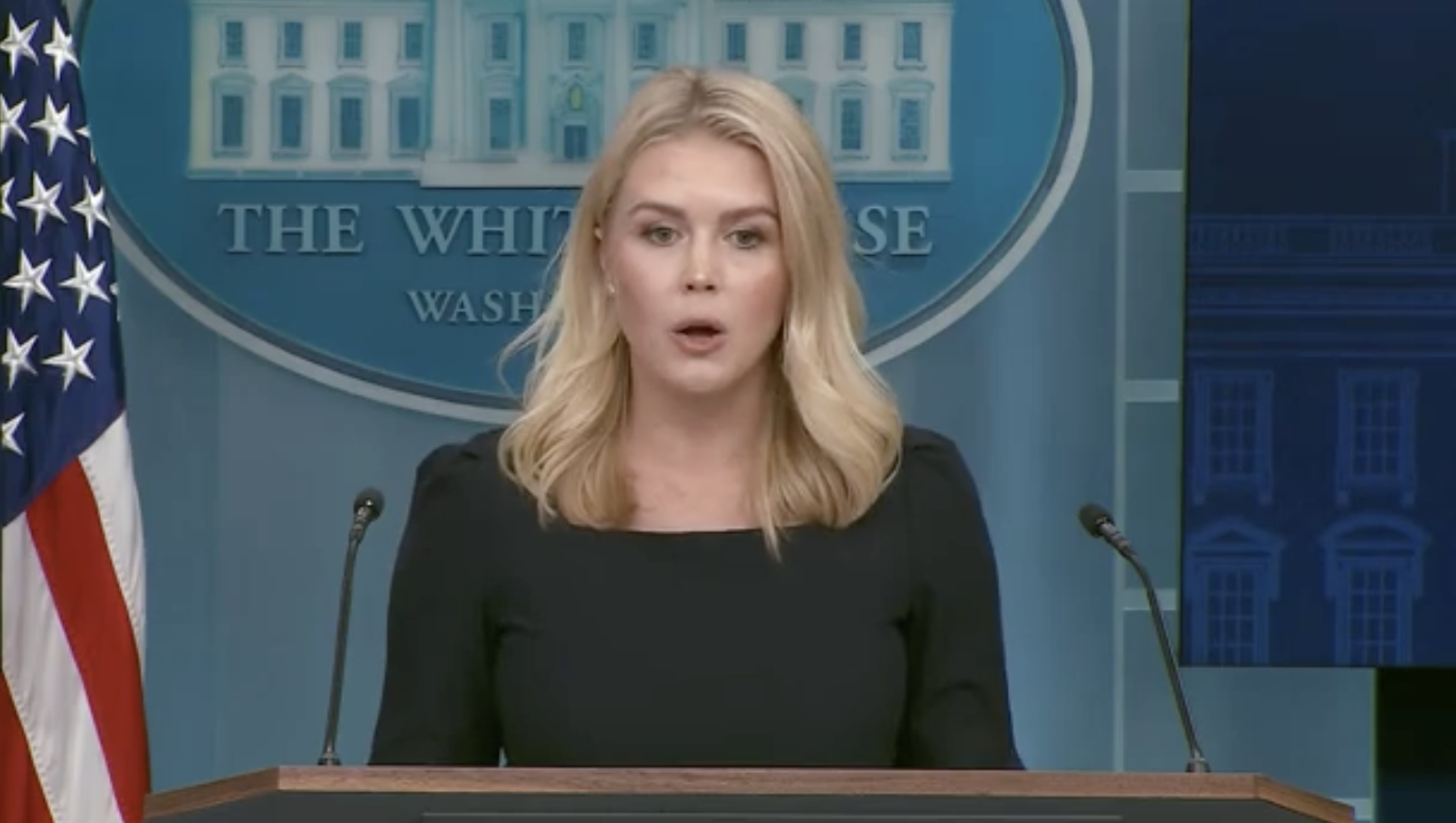 'Another Rogue District Court Judge': When Karoline Leavitt Doubled ...