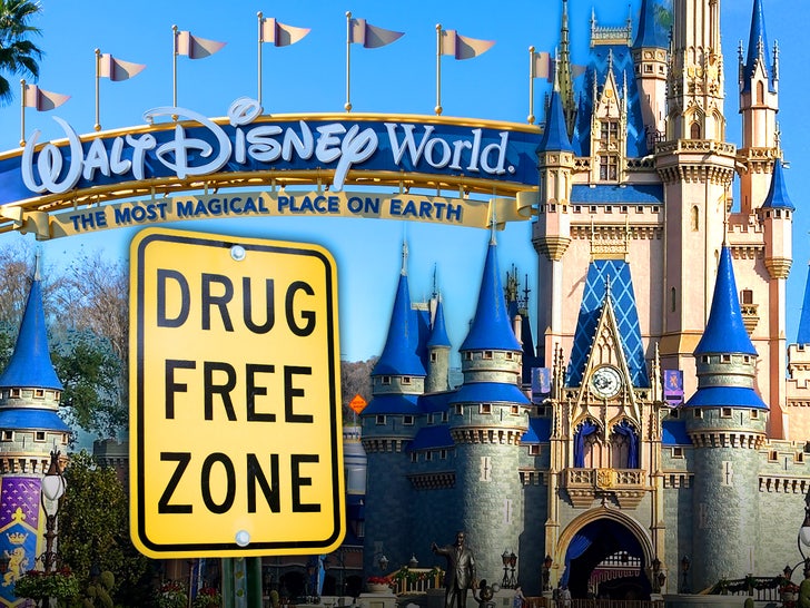 Kentucky Woman Arrested at Disney World for Meth Possession