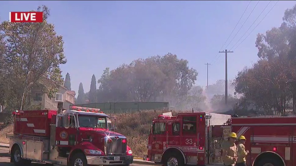 Brush fire burns near homes in Rancho Bernardo