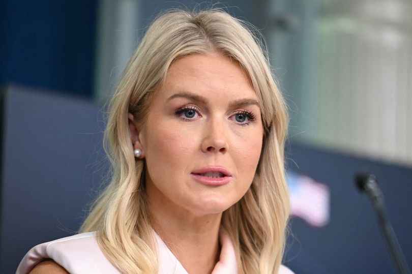 Karoline Leavitt looks unrecognizable in throwback snap as plastic ...