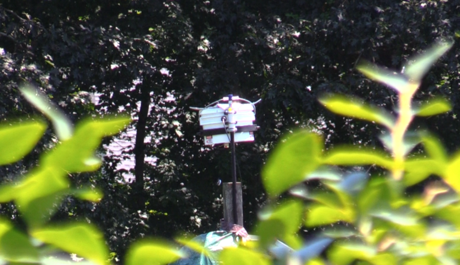Warwick blueberry farm using ‘laser scarecrows’ to keep birds at bay