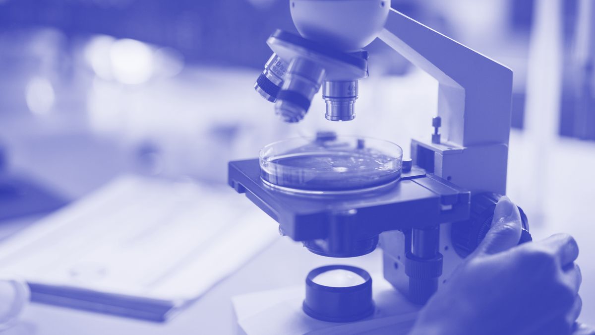 Breakthrough Victoria and Monash University co-invest $2.25m in three ...