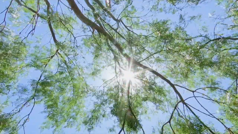 Weather warn Wednesday/Thursday: Heat