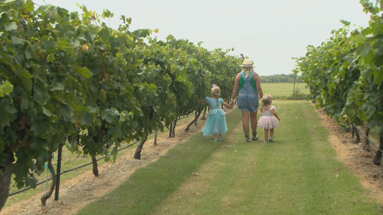 Eurofighter Typhoon: The ‘Replacement’ Fighter for the F-35 in Europe?