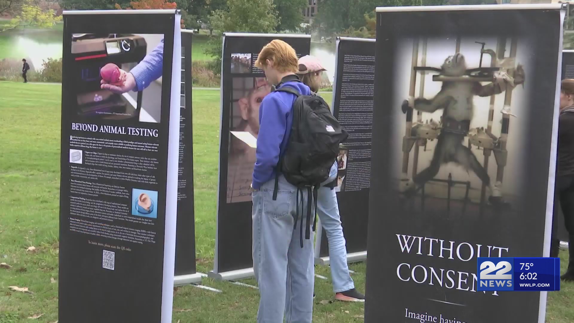 UMass Amherst primate research lab shuts down after PETA campaign