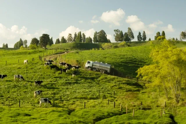 Colanta recorrerá Colombia para contar el país a través de su sabor