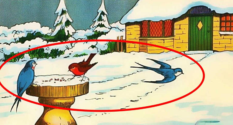 Only High IQ Geniuses With Eagle Eyes Can Spot the Mistake in 5 Seconds!