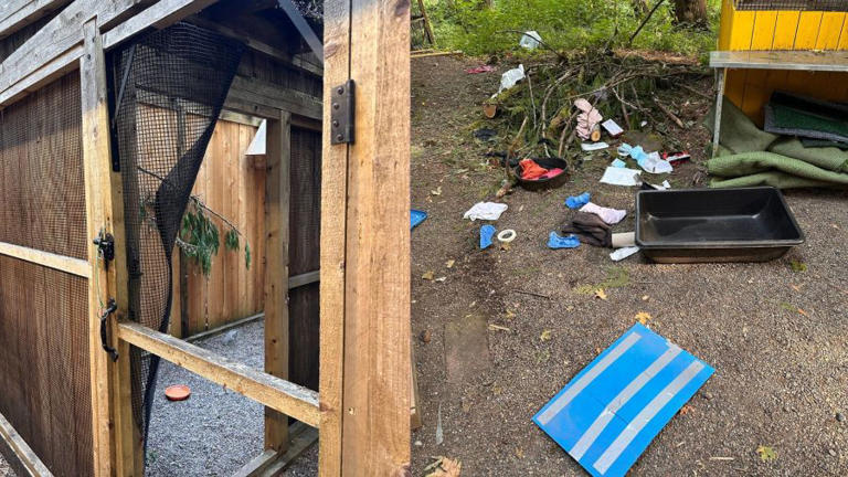 Injured birds released, property damaged during Bird Alliance break-in