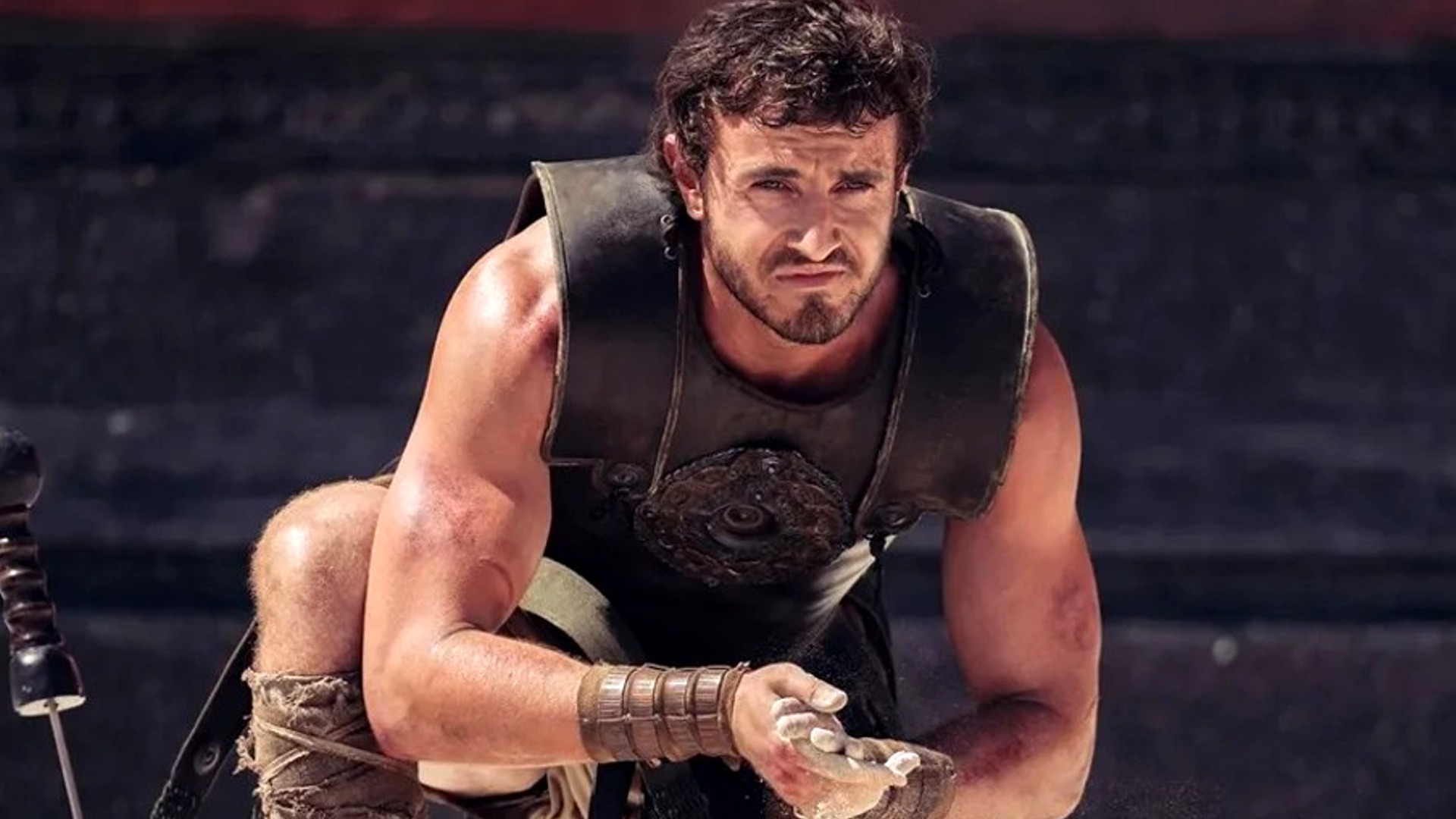 The Truth About Gladiators Fighting Sharks And Rhinos In The Colosseum