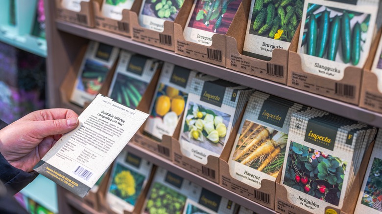 10 Tricks To Increase Seed Germination Rate For A Flourishing Garden