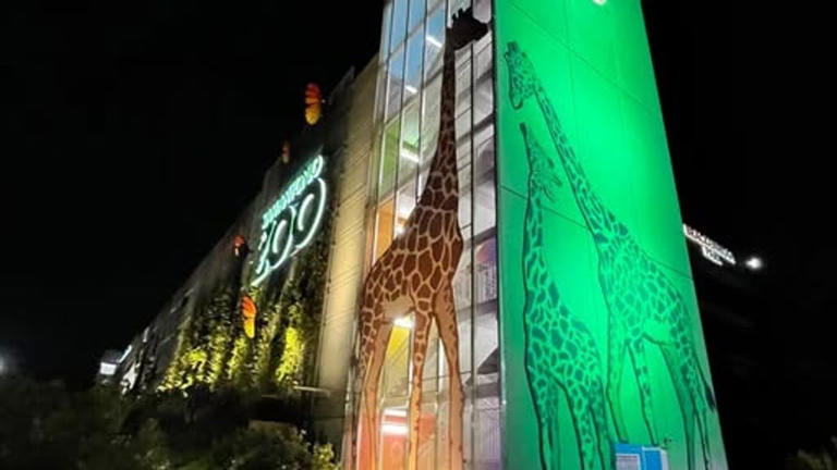Raise the flags: San Antonio Zoo makes mostly friendly playoff bet with ...