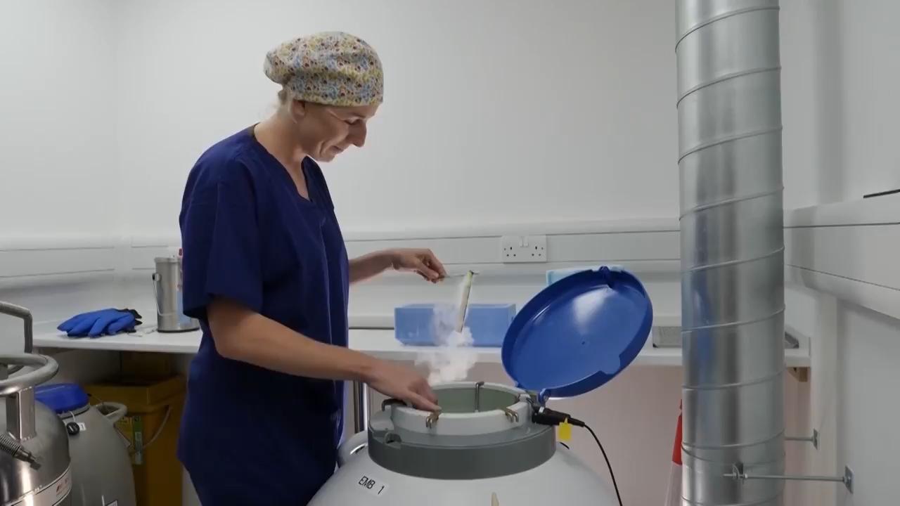 How are frozen embryos kept viable for decades?