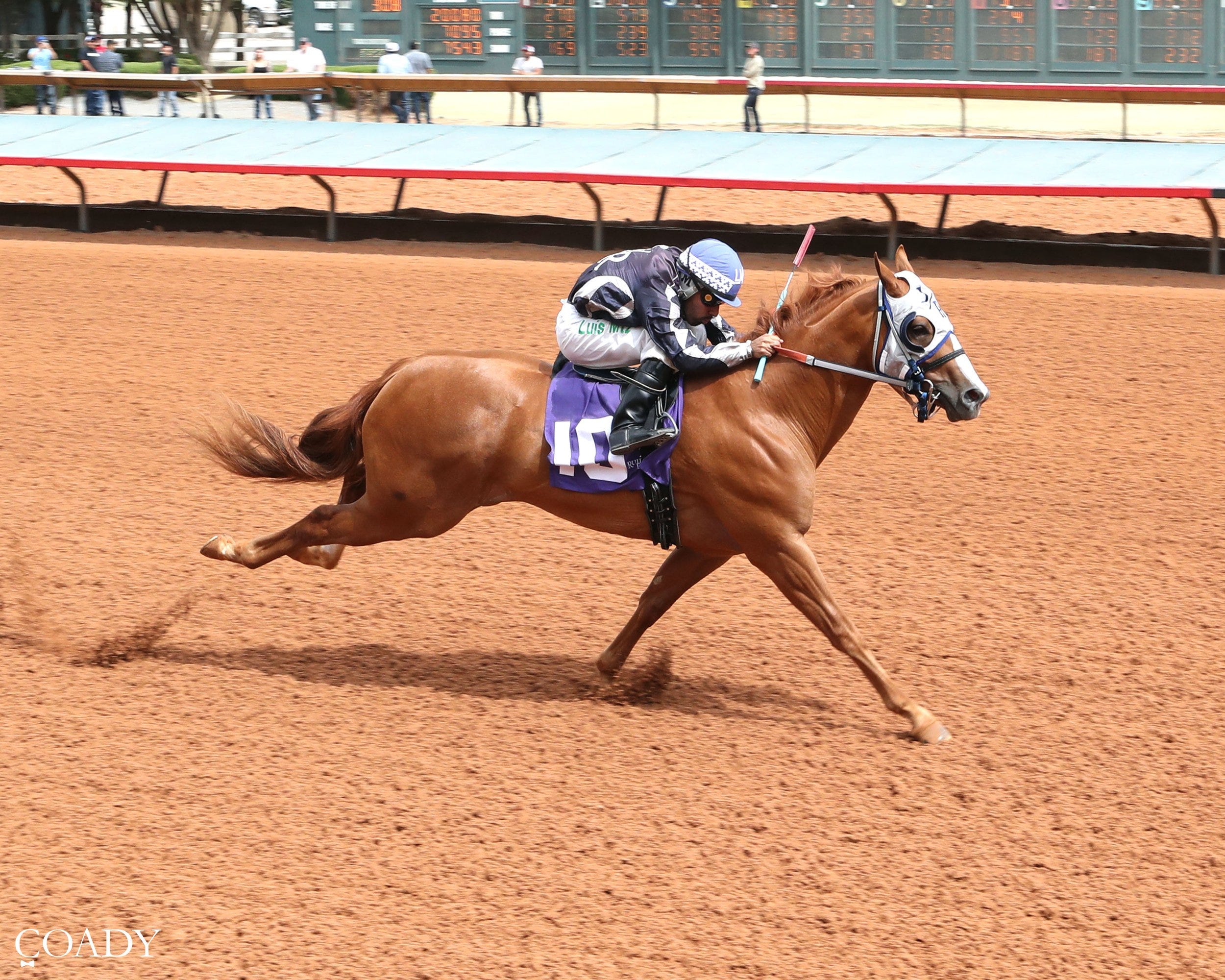 2025 All American Futurity, Derby, Oaks trials set for Aug. 4-6 in ...